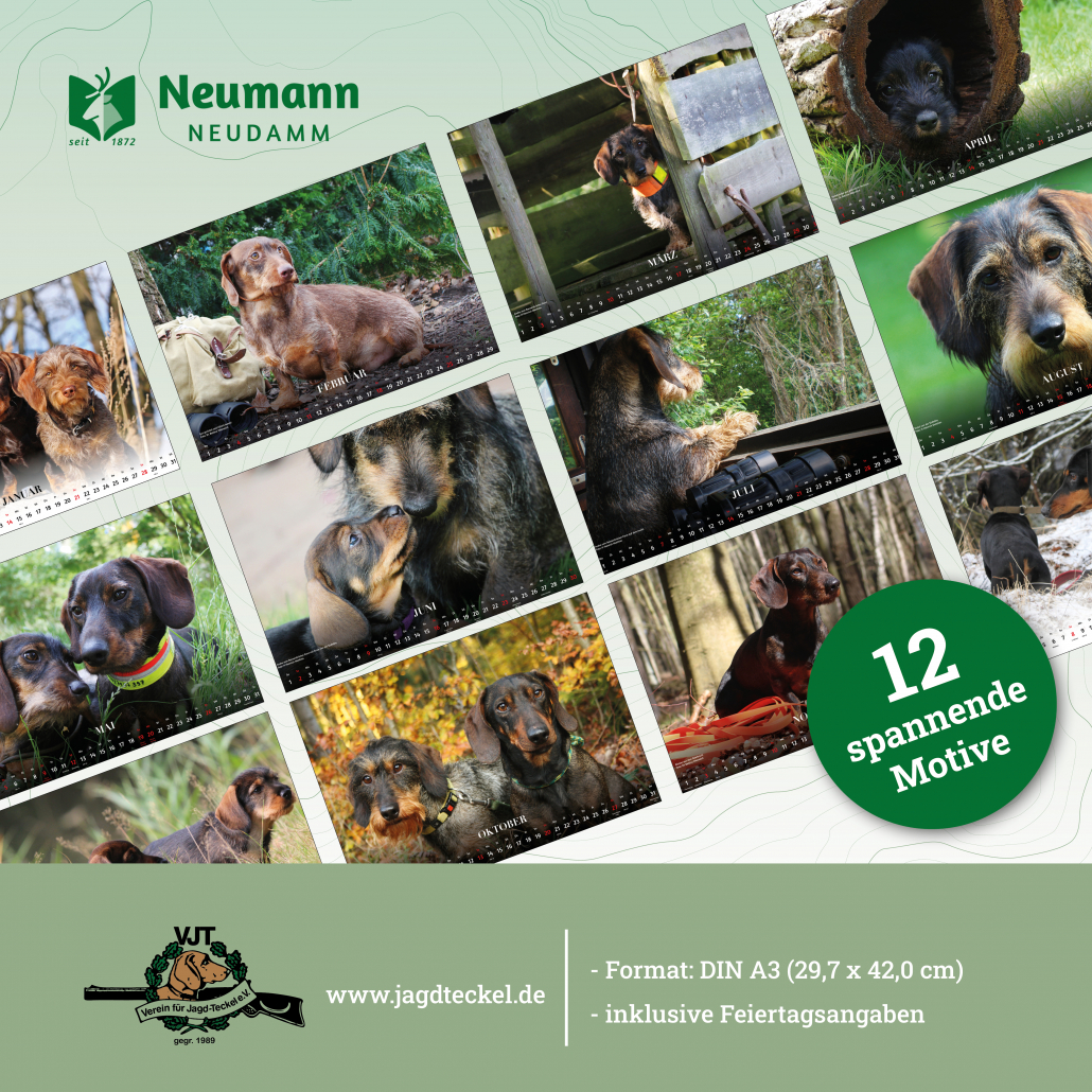 Neumann-Neudamm Teckelkalender 2024 | Verein für Jagdteckel e.V.
