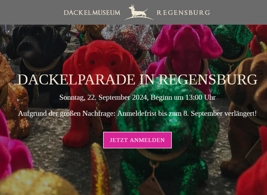 Dackelparade 2024 – Dackelmuseum Regensburg | Verein für Jagdteckel e.V.